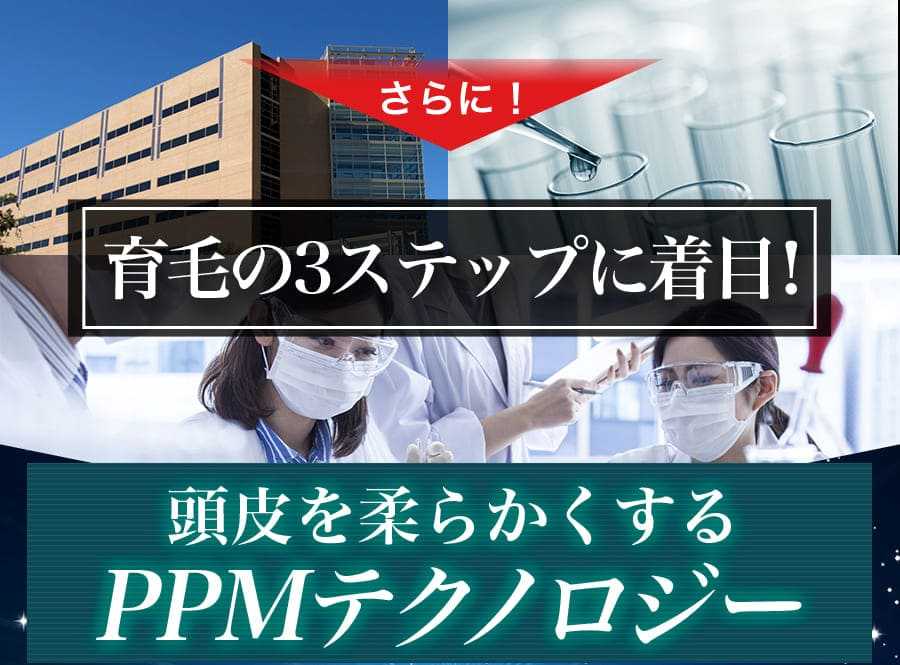 SIMFORT ONLINE STORE